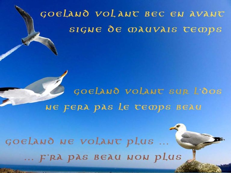 Dictons marins, proverbes et citations choisis sur la mer et les ...